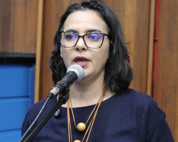 Gleice diz que mulheres não vão assumir culpa sozinha - Douranews